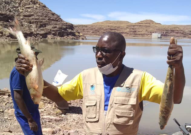 Neckartal Dam assessed for inland fishing and aquaculture - The Namibian
