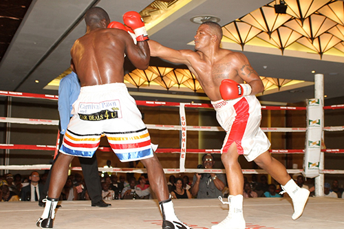 Meroro in fight of a lifetime - The Namibian